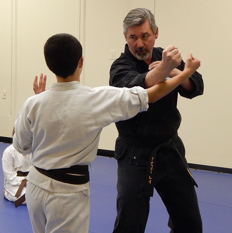 Karate lessons options